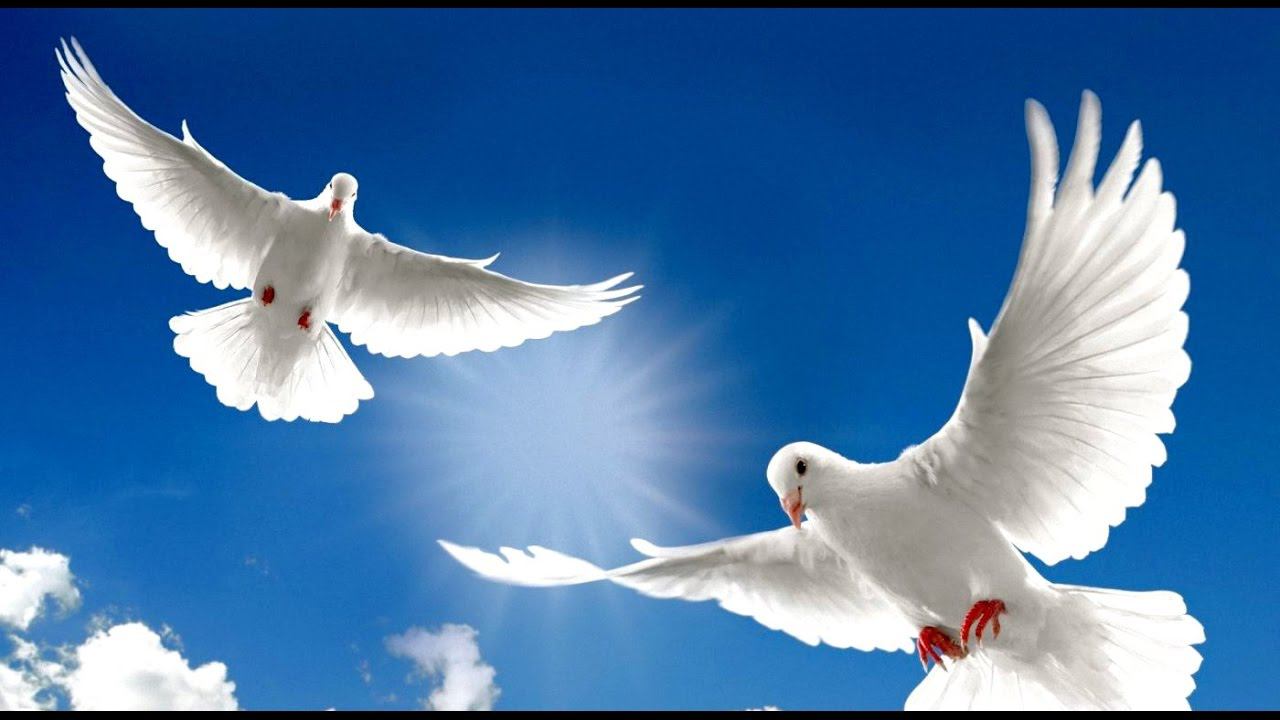 Moscow Chamber Choir - A. Vivaldi. Domine Fili Unigenite (from "Gloria")