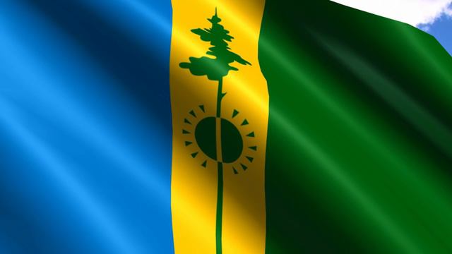 Флаг Нижнекамского Муниципального Района