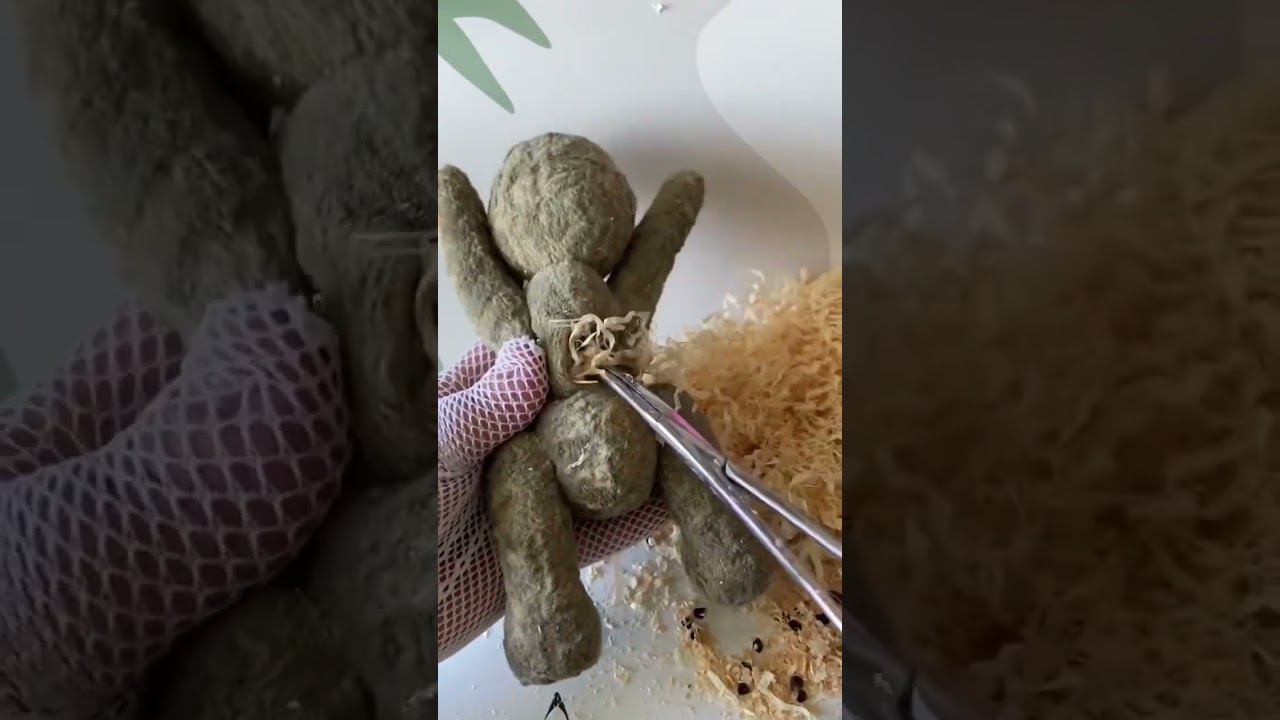 Магия создания Он еще без животика, но уже со своим характером