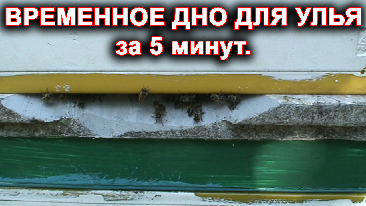 Временное дно для улья ППС за 5 минут.