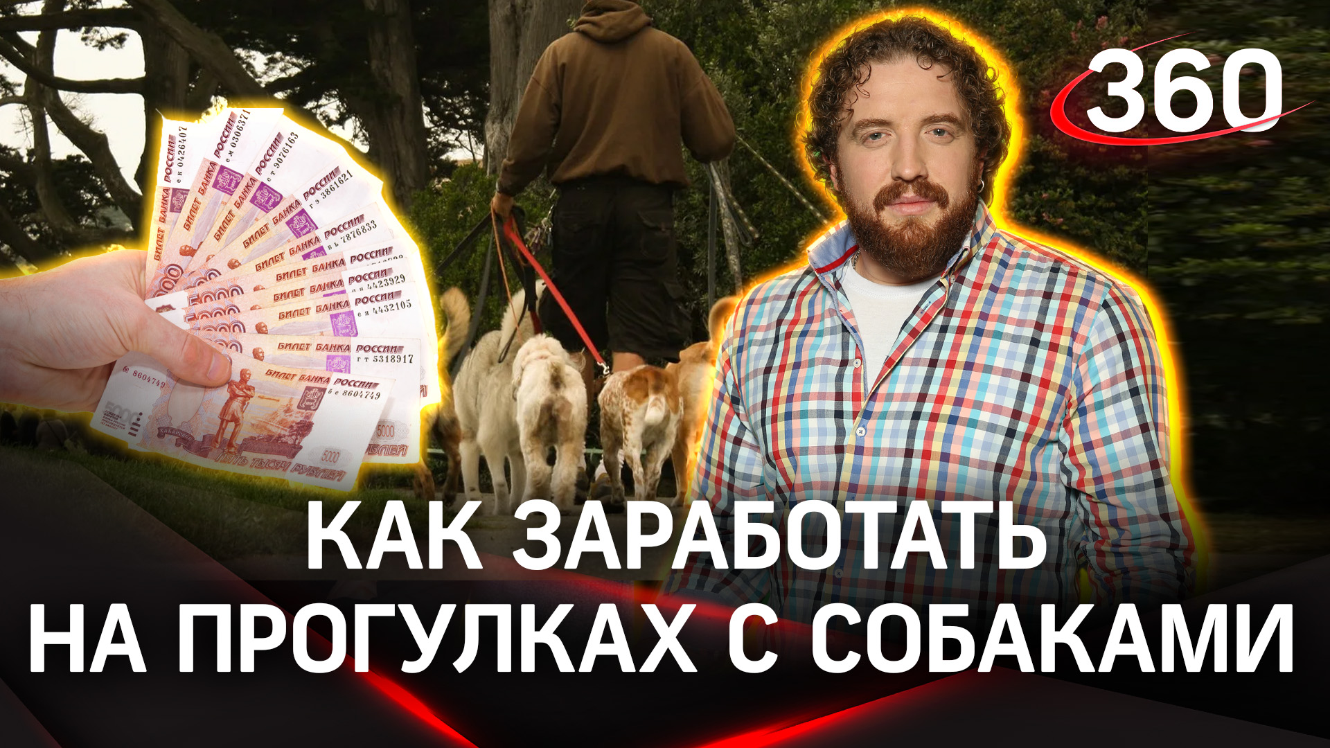 Быстрые деньги: сколько можно заработать догситтером - няней для собак? | Дмитрий Степанищев