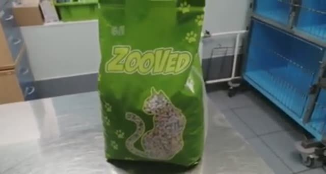 Видеоотзыв от компании ZooVed.mp4