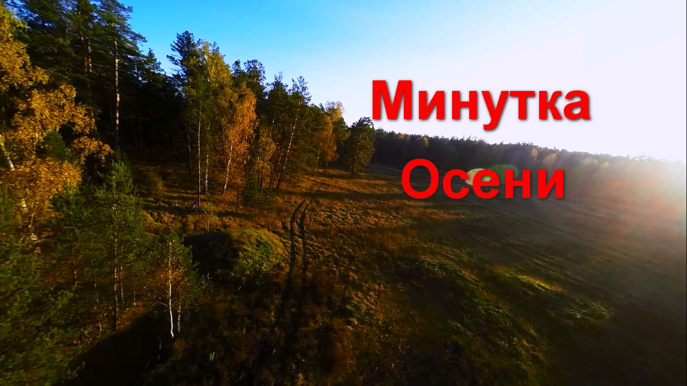 Минутка осени