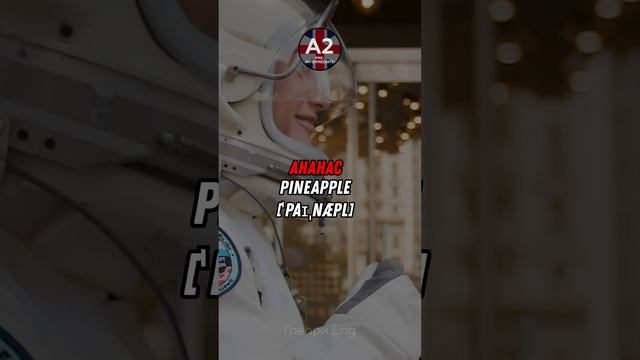 Учим 5 английских слов в день. Уровень - А2.