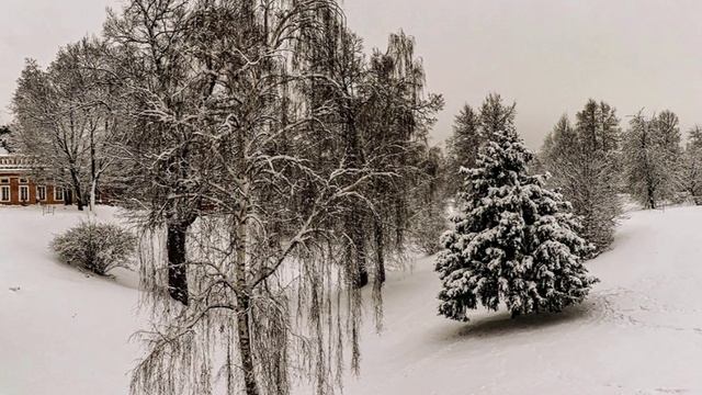"МЫ ТОЛЬКО ЗНАКОМЫ"... (Фото Игоря Егорова (Москва) - Поёт Борис Штоколов)