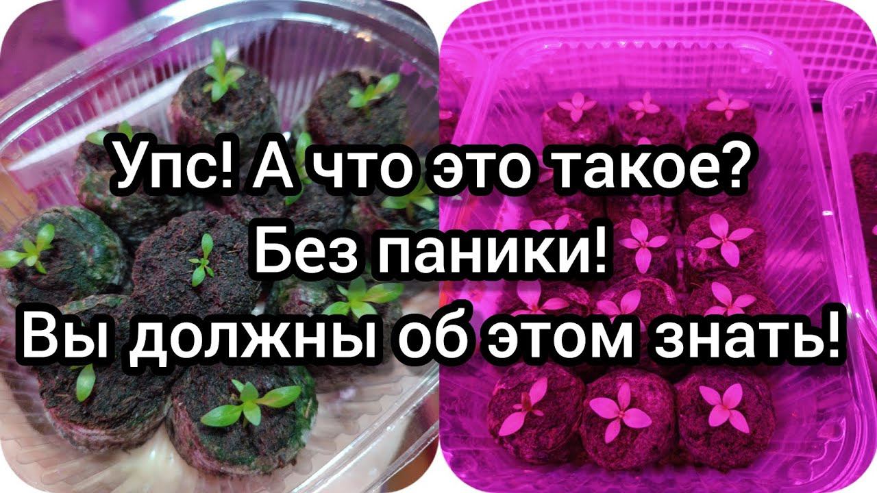 Упс! А что это такое? Без паники! Вы должны об этом знать!