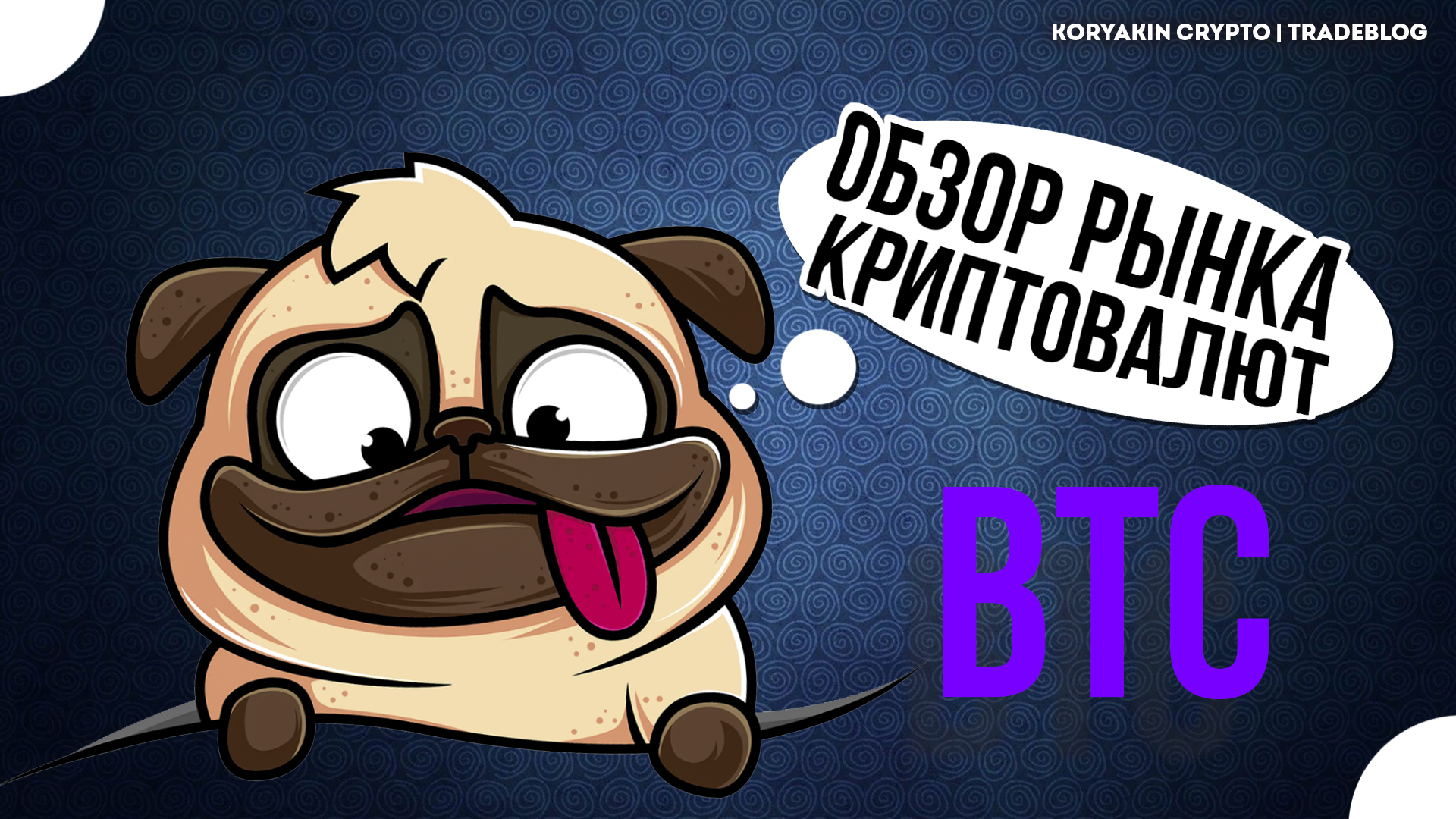 Биткойн летит на 50000, обзор рынка криптовалют. Волновой анализ BTC. Koryakin Crypto | TradeBlog
