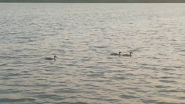 Рыбалка без водки.