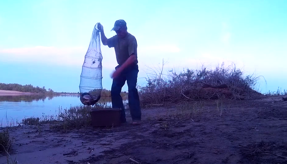 Вечерний бешеный клев на Ахтубе бывает же такое.