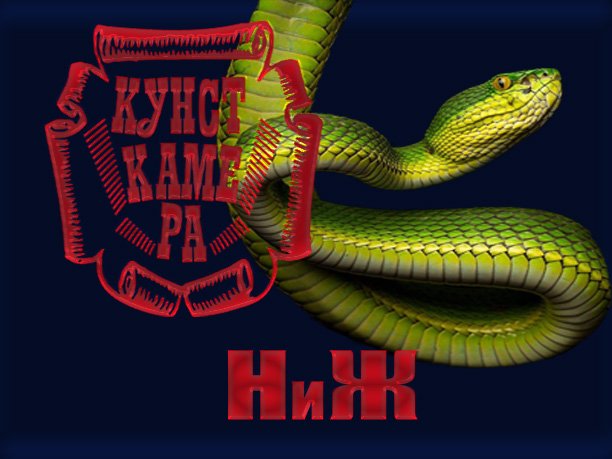 Немного о змеях...