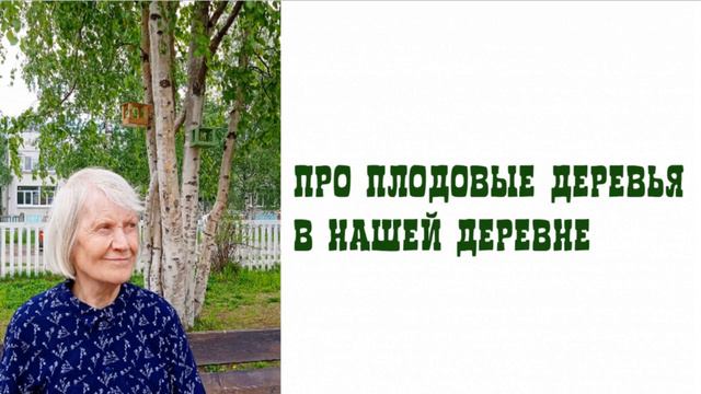 Про плодовые деревья в нашей деревне