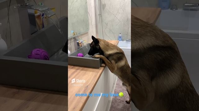 иди ко мне моя любовь ?