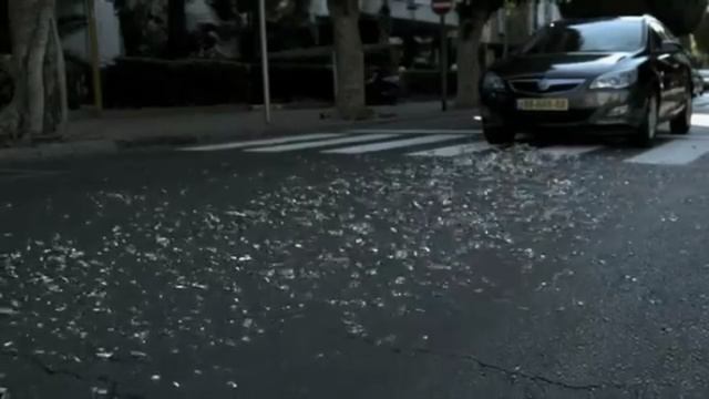 Стеклянный пешеход