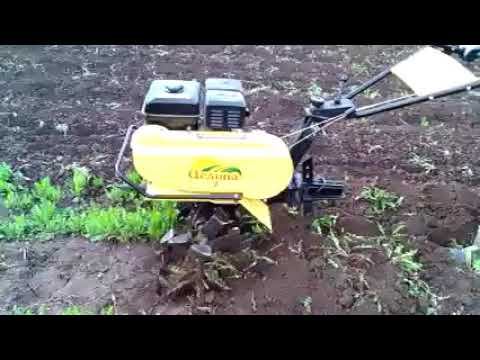 фрезы гусиные лапки