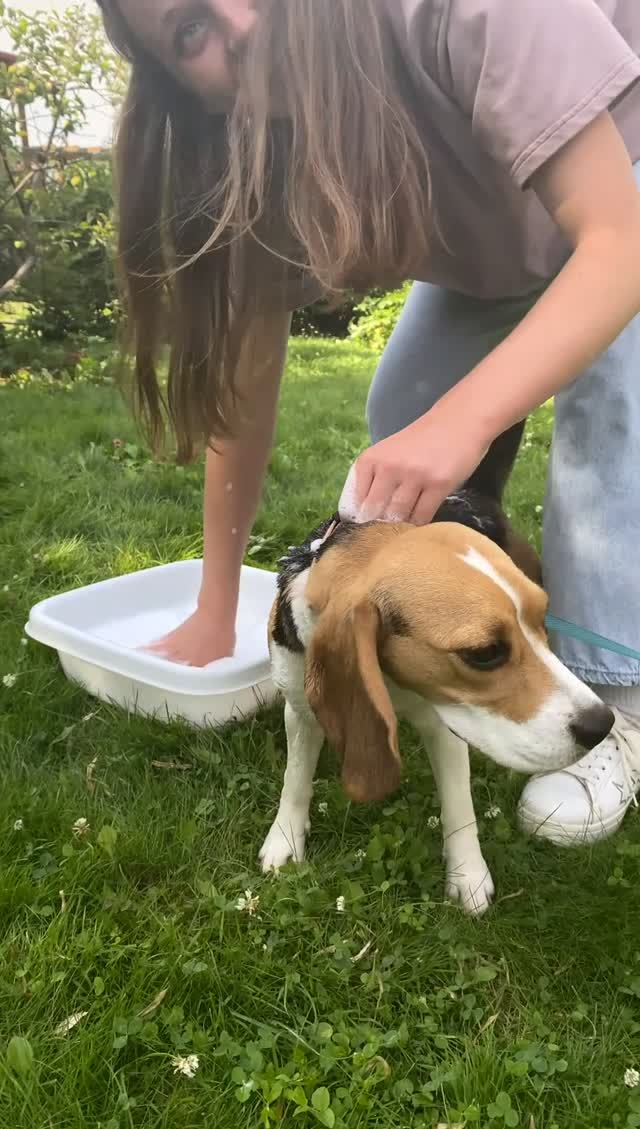 Дезодорирующий шампунь-бальзам для собак и кошек