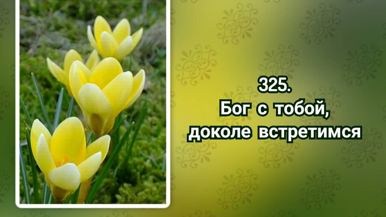 Гимны надежды 325 Бог с тобой, доколе встретимся (-)