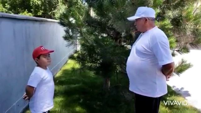 Агроэкология