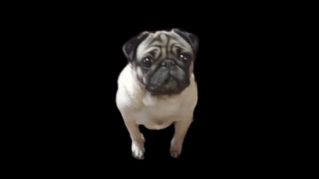 ЧЕЕЕЕЕЕЕЕЕ?!?!!?!?!!??!??!