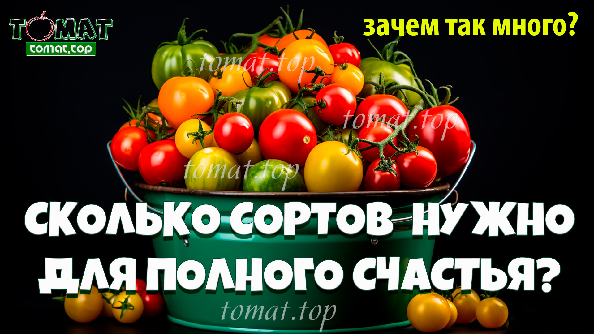 Сколько сортов томатов нужно для полного счастья? Или зачем так много сортов томатов выращивают?
