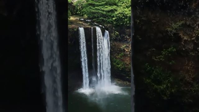 Видеообои "Водопад Вайлуа на Кауаи Гавайи Где твоя мечта"