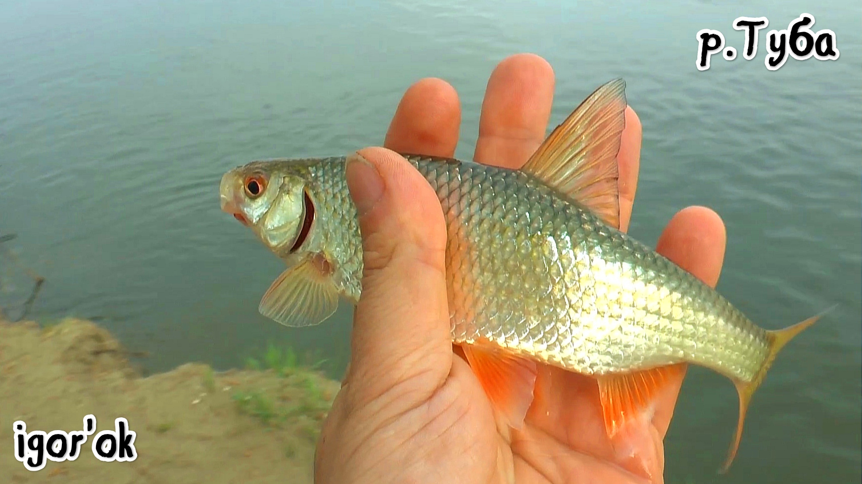 Рыбалка на Тубе | Начало лета
