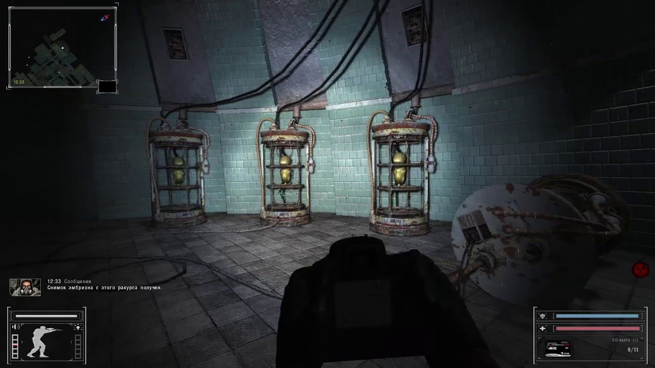 Объединенный Пак 2.1 фото эмбриона Сделать снимки Эмбриона в X 18