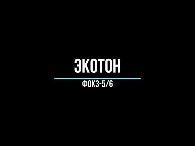 Фонарь ЭКОТОН ФОС3-5.6