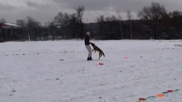 DiskHunters ВДНФ Декабрь 2014.mp4