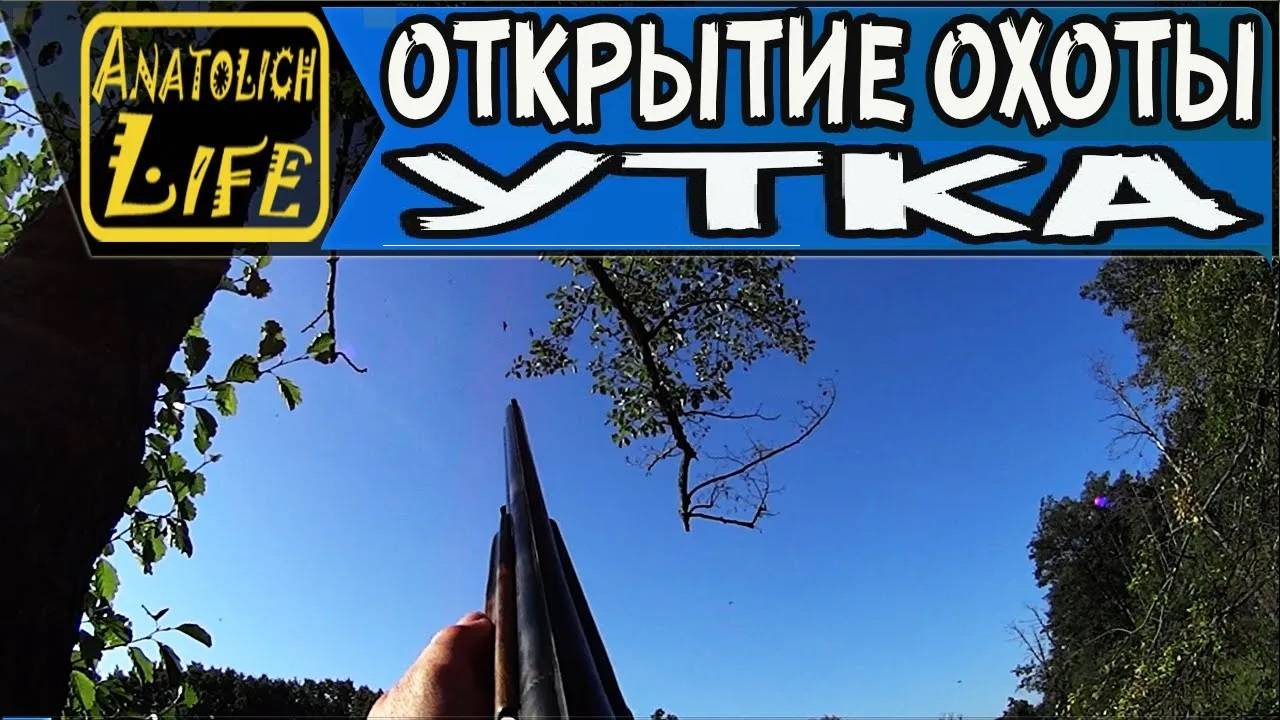 Охота на утку! Открытие сезона охоты .
