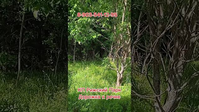 16 Рижский Парк Коттеджный посёлок Дорожка к речке #дача #коттеджи #участок #коттеджи