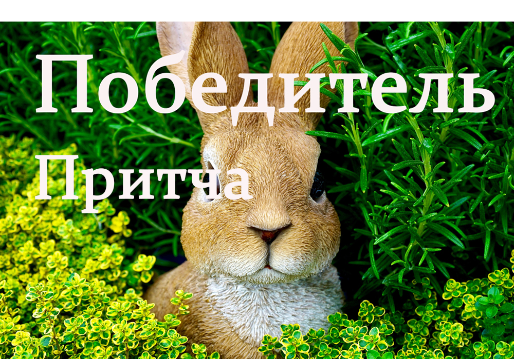 Притча Победитель.