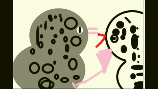 Чайчонок белый . 4 серия Новая серия 2024