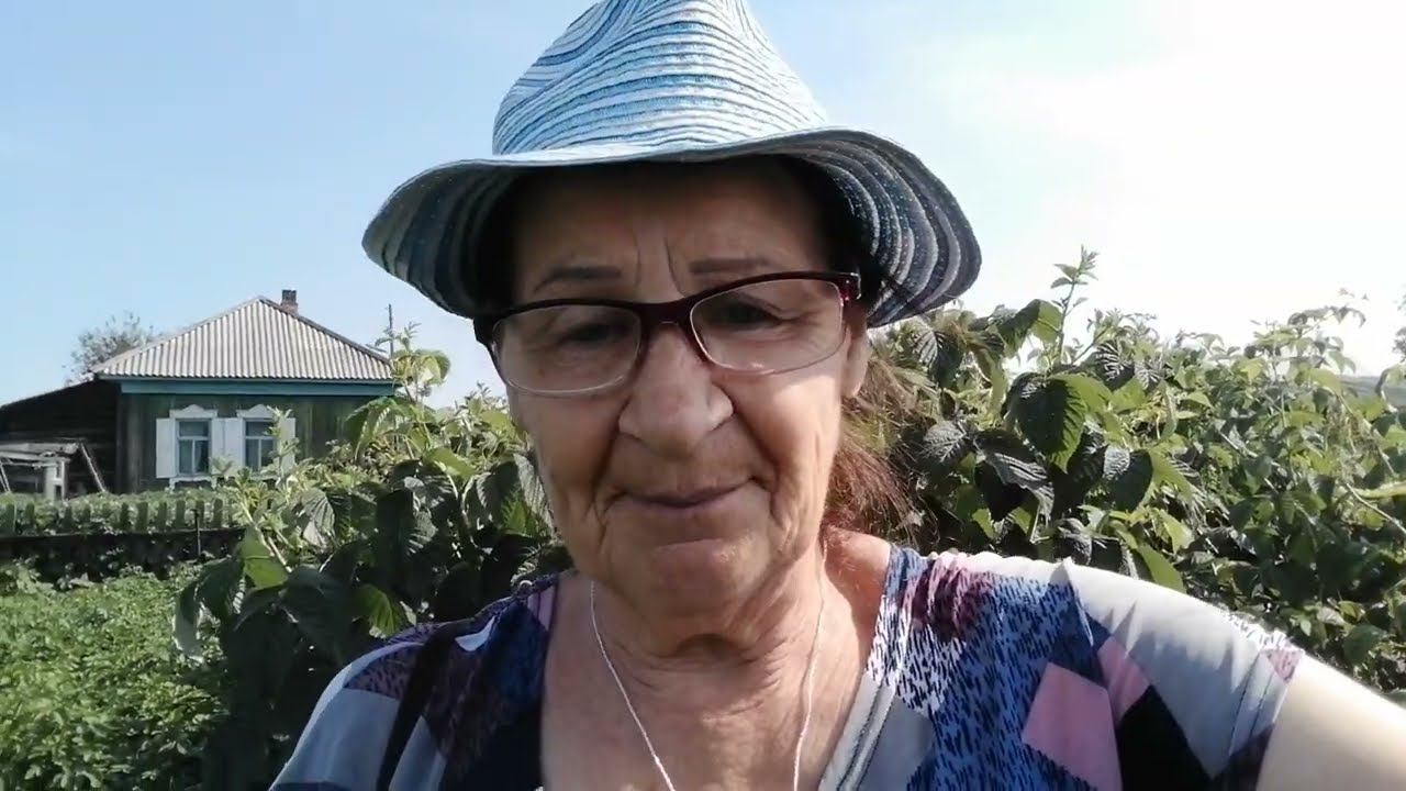 05.08.2023 Чтобы малина была кустистая/хожу, брожу по огороду