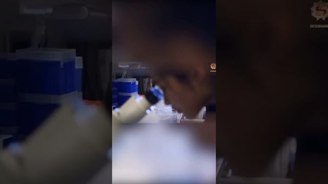 Лопух от всех болезней