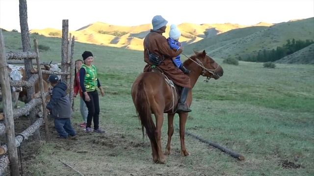 Вечерняя дойка_ связь поколений (1)