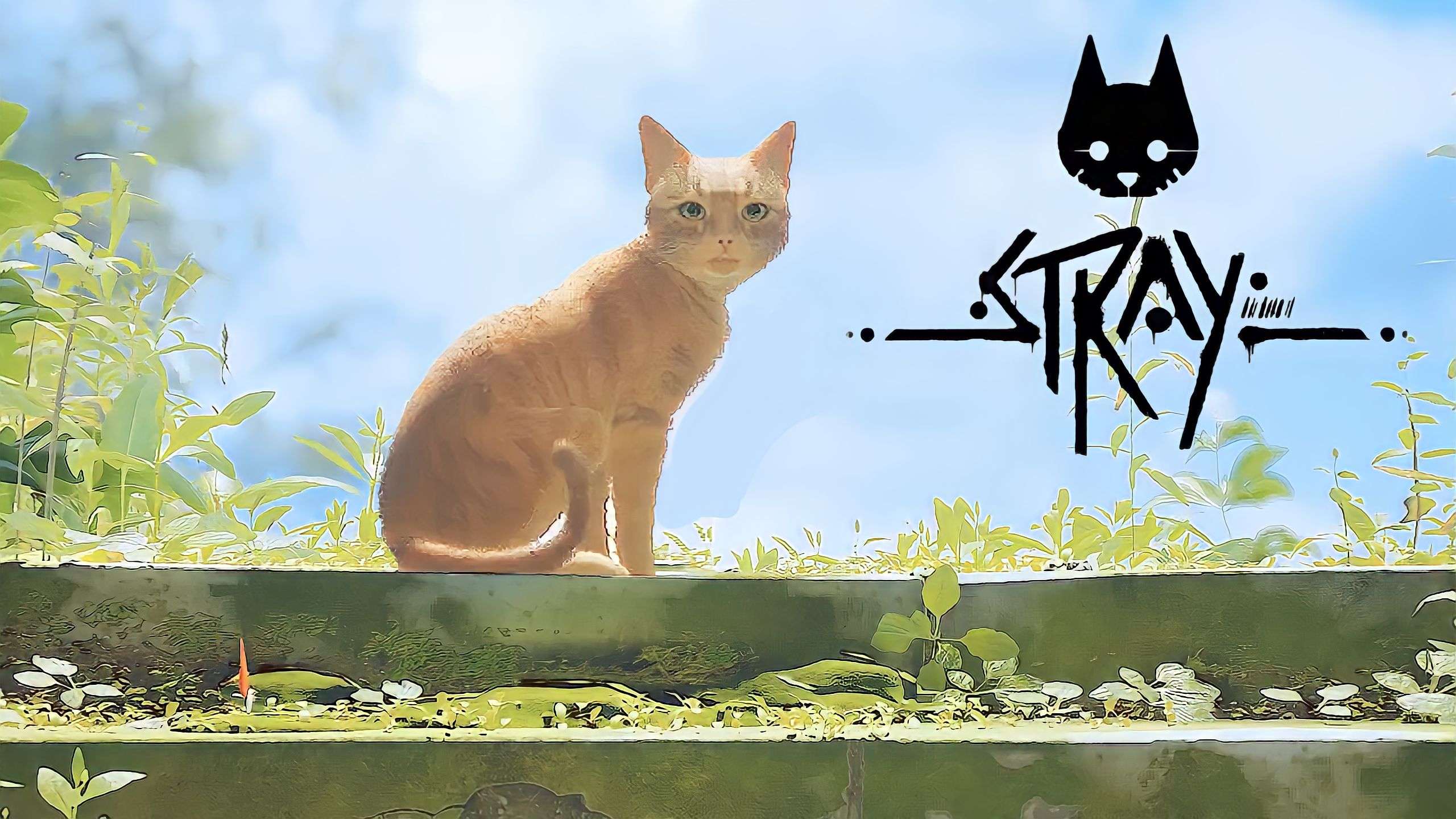 ДОБРАЛИСЬ ДО АУТСАЙДА! ➥ Stray #9