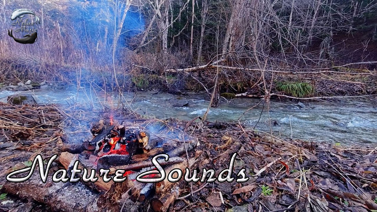 Звуки природы, Шум реки, Треск костра - 20 минут для восстановления позитивной энергии