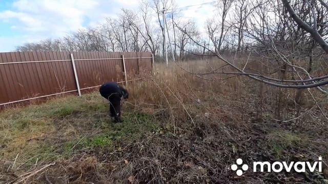 +27°. Убрали на соседнем участке..mp4