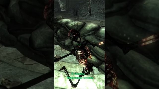 ▶Fallout 3. Изувеченные останки.
