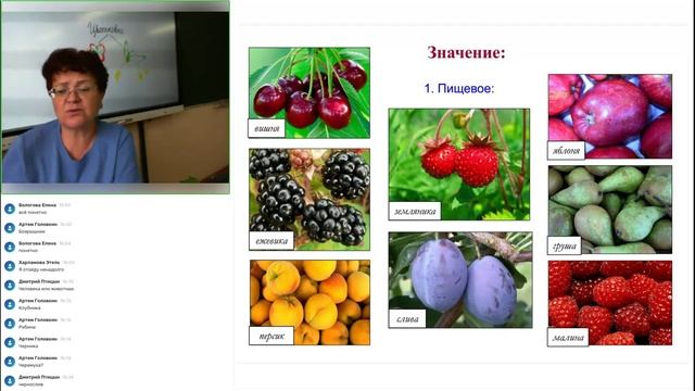 Разнообразие растений. Занятие 5