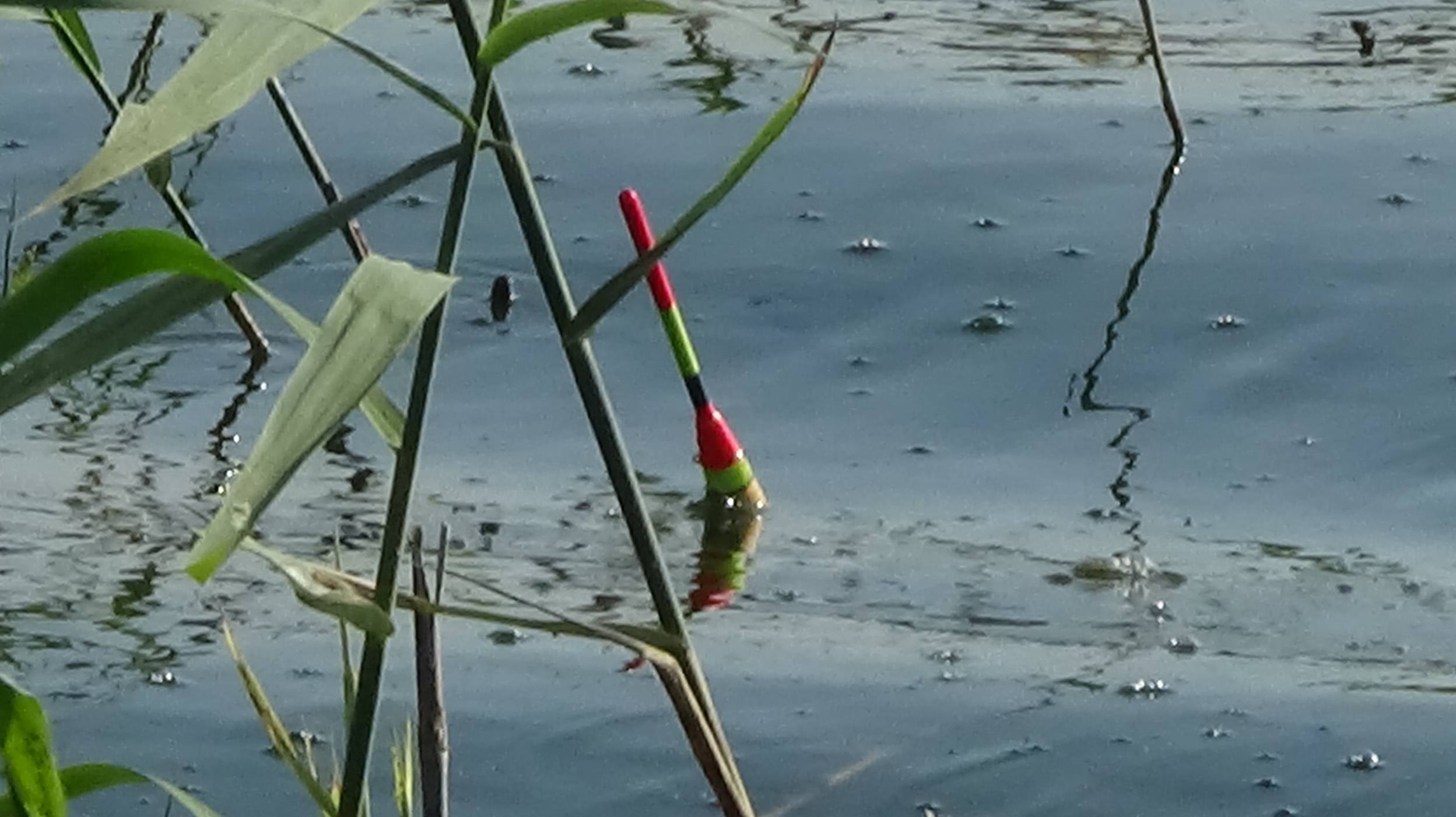 Успешная рыбалка на линя ! Новая почва для размышлений..