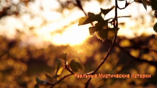 Красивый пейзаж под красивую музыку