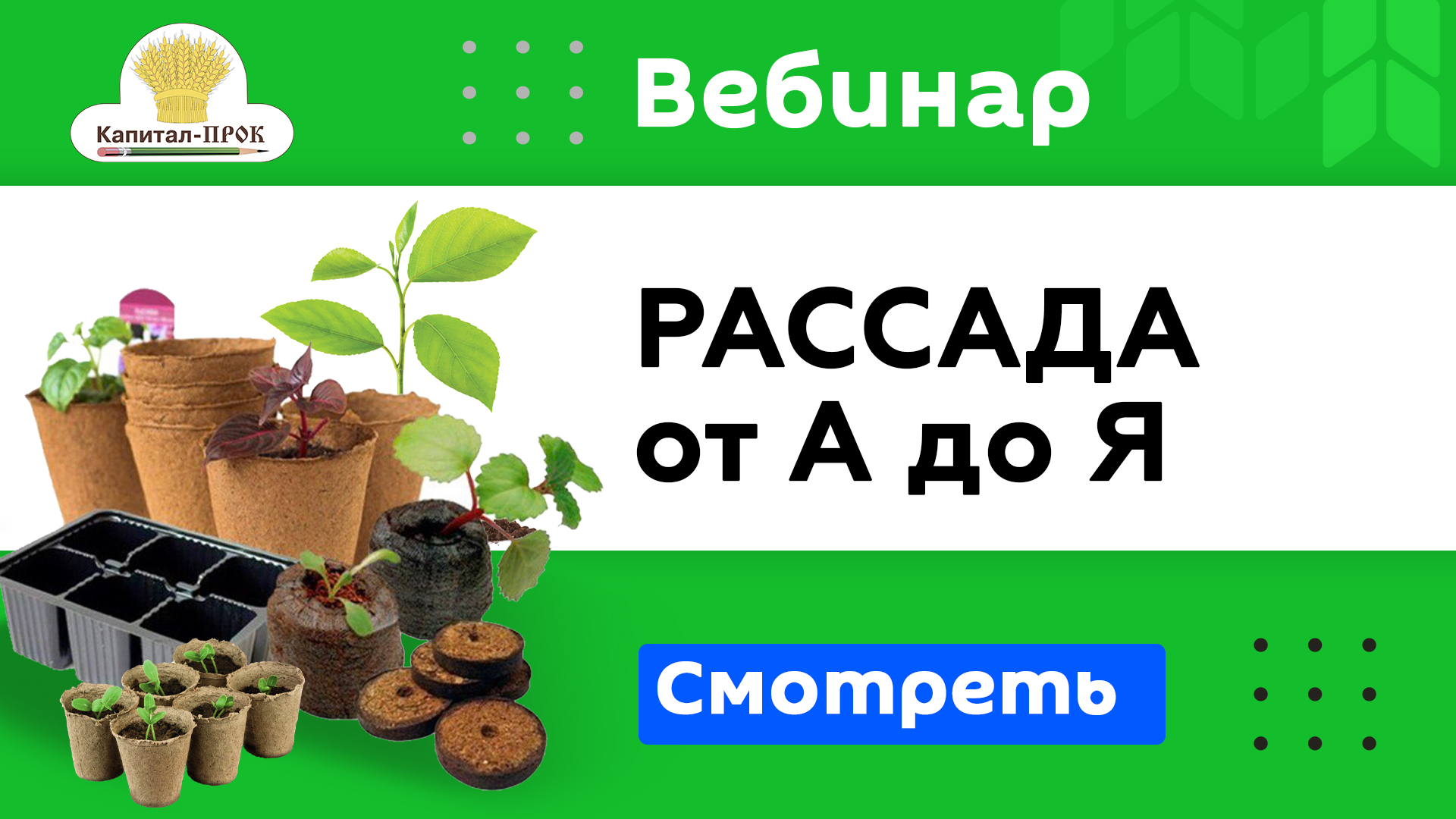 Рассада от А до Я
