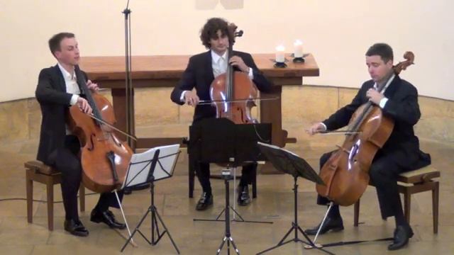 Haydn Divertimento D Major on 3 Celli live in concert