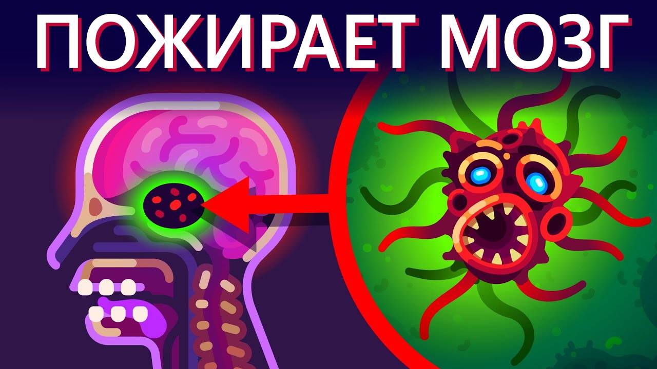 Самый ужасный паразит - Амеба пожирающая мозг