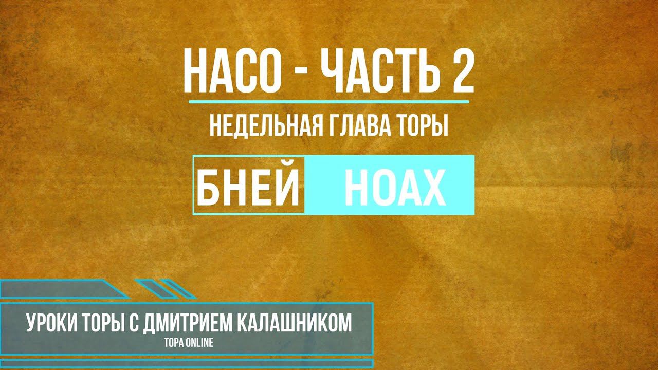 Недельная глава Насо , книга "Бемидбар" (Числа) 5780 - "Биркат коhаним".