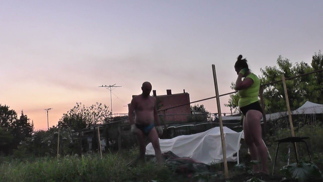 Возводим тень над помидорами и огурцами.