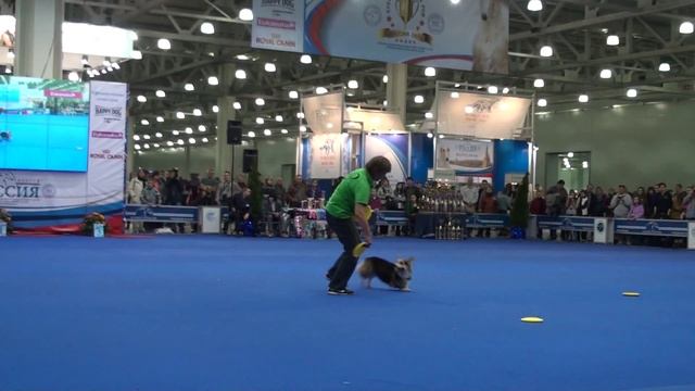 Показательные выступления Галина и Арти