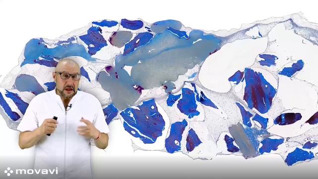 А теперь гистологическая пасхалка…