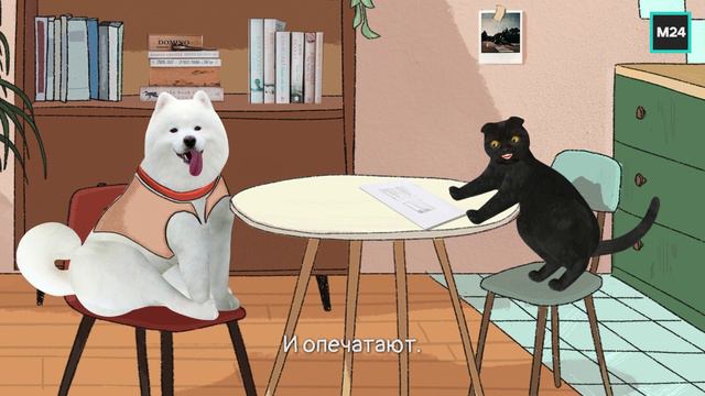 13 лет Госуслугам | Кот Бублик